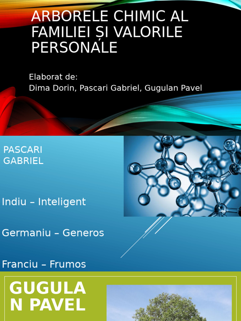Arborele Chimic Al Familiei Și Valorile Personale-1 | PDF