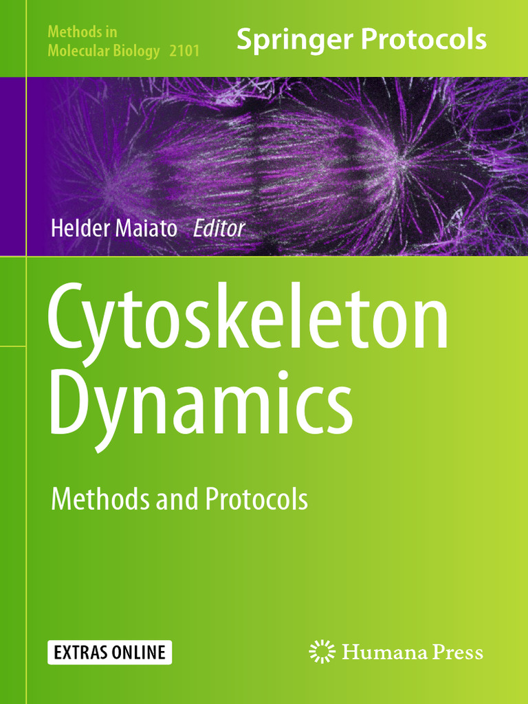 Cytoskeleton Dynamics. Methods in Molecular Biology 2020 | PDF ...