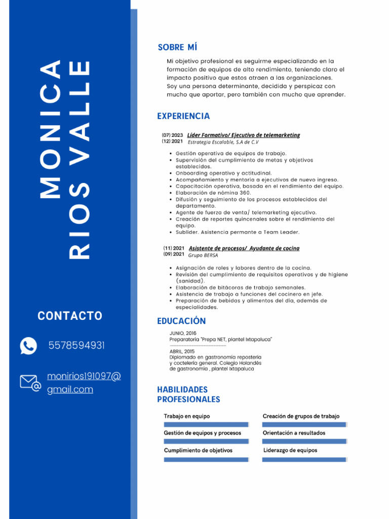 CV_ MONICA RIOS VALLE | PDF