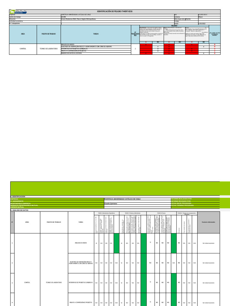 Decon Uc - Tmert Eess - Matriz de Riesgo | PDF | Mano