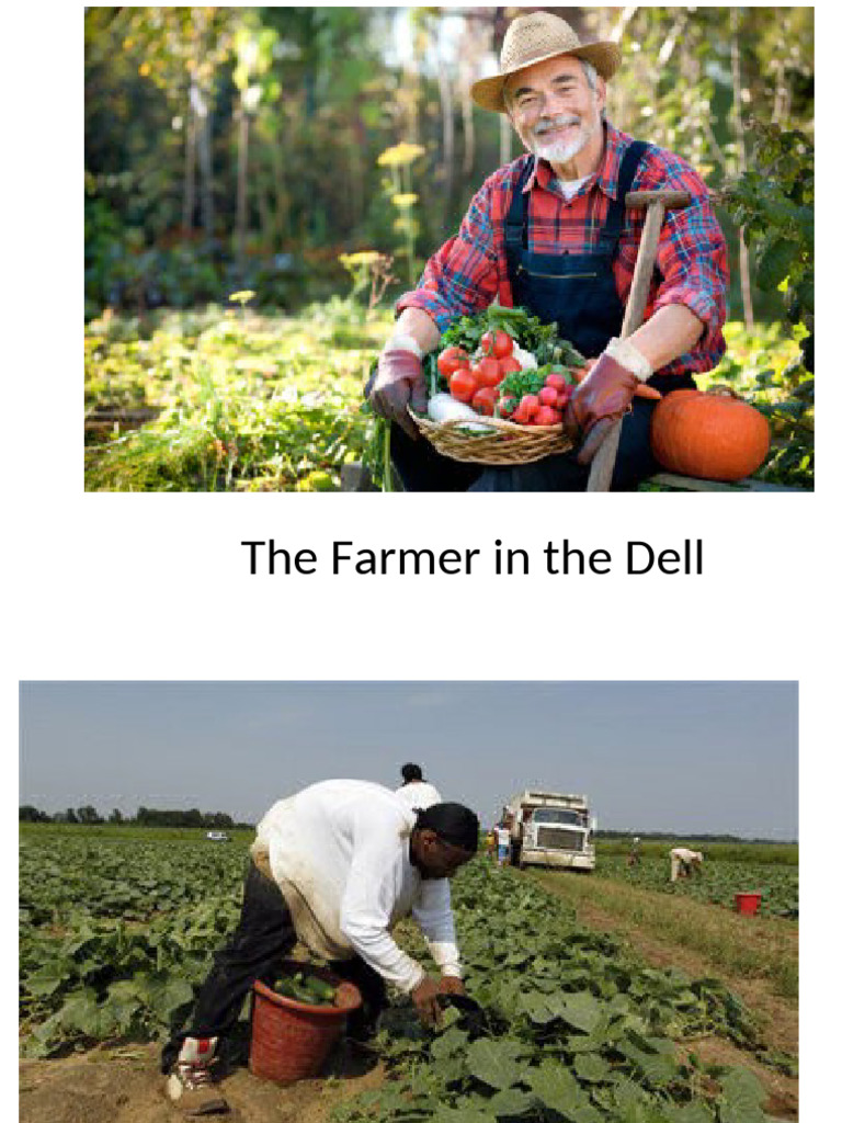 Daily Life of a Farmer | PDF