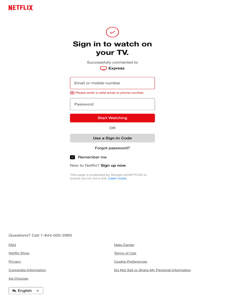 Netflix | PDF