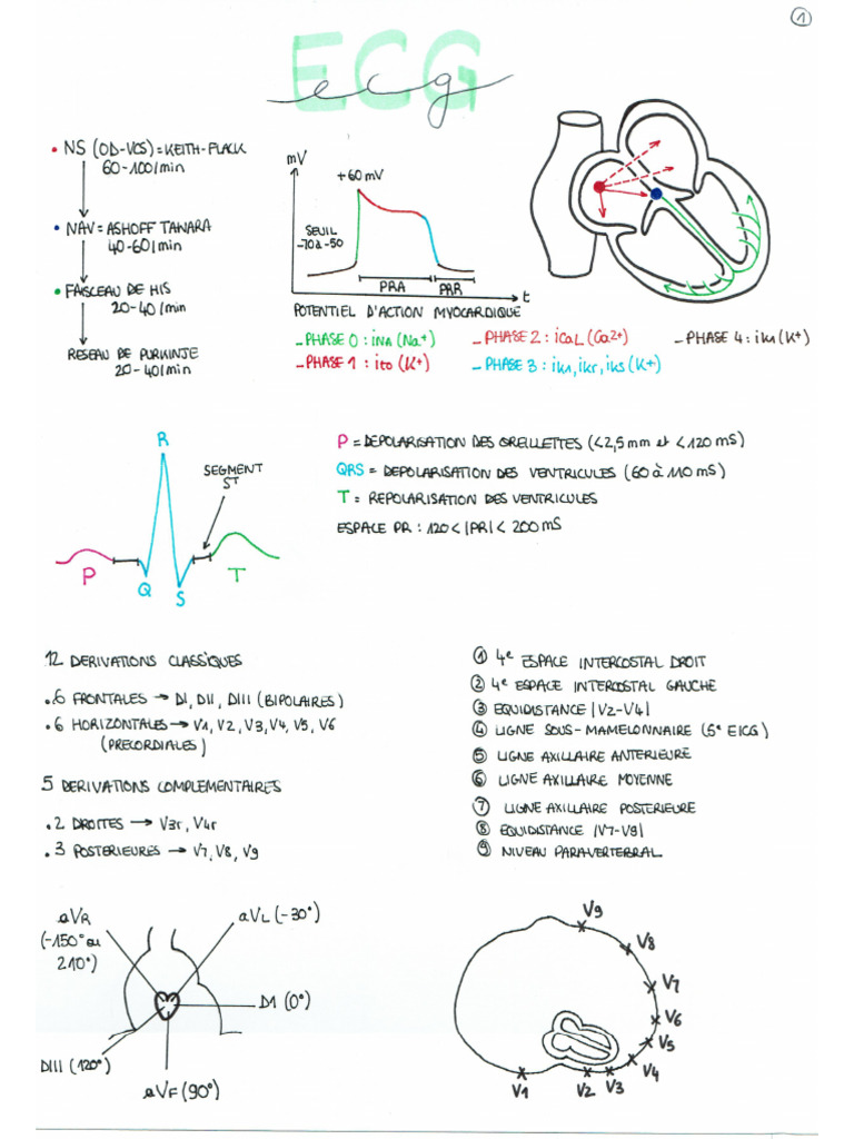 Fiche Cardio Version 2 | PDF