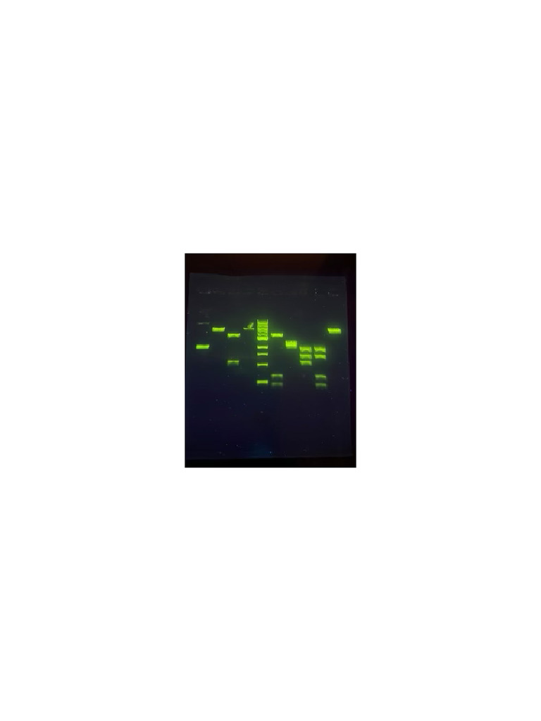Plasma Pic | PDF