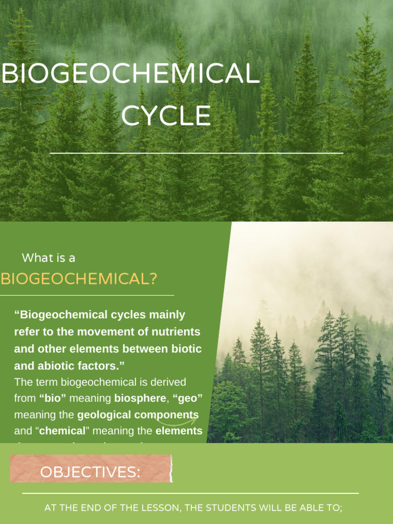 Midterm Biochemical Cycle | PDF | Sulfur | Oxygen