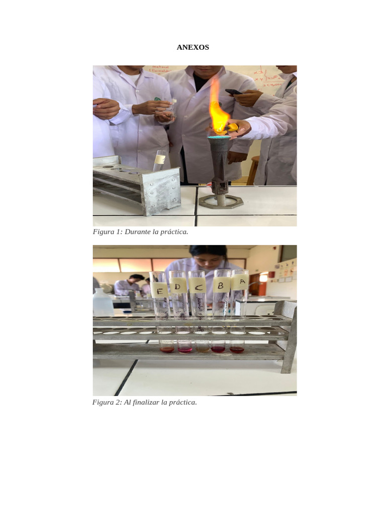 ANEXOS PRACTICA 8 | PDF