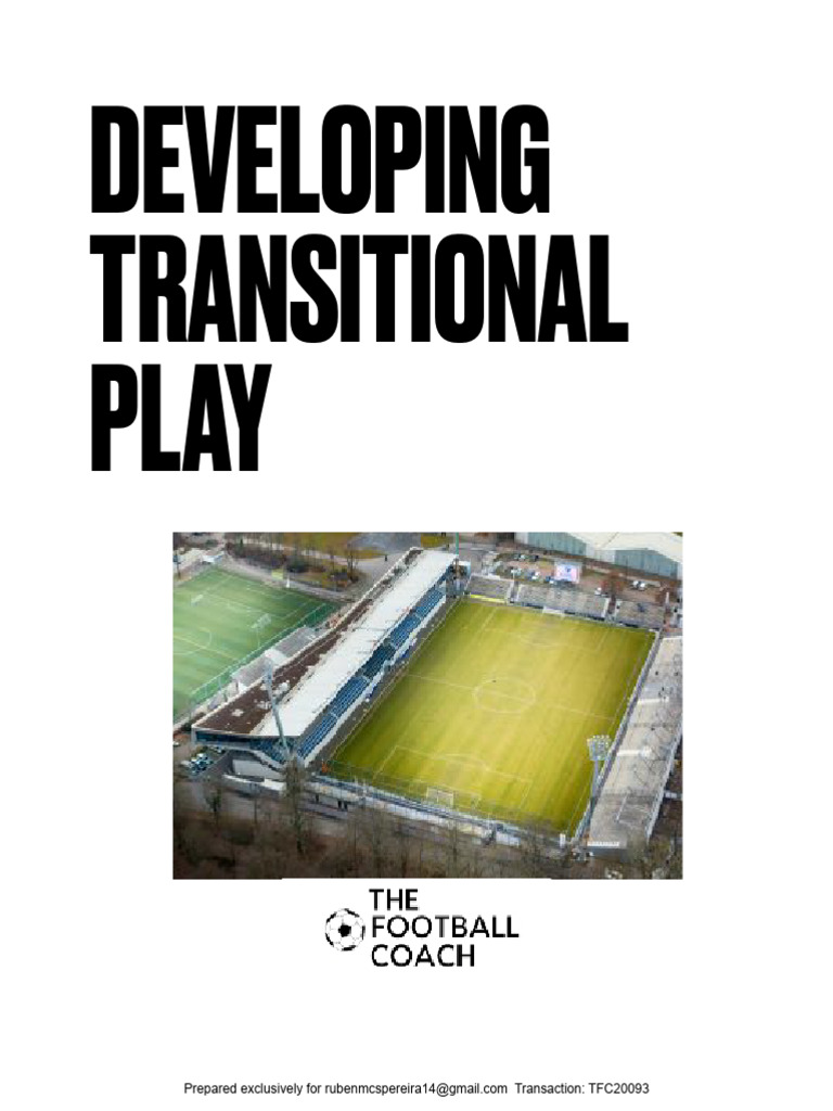Developing Transitional Play (Reduced File Size) | PDF