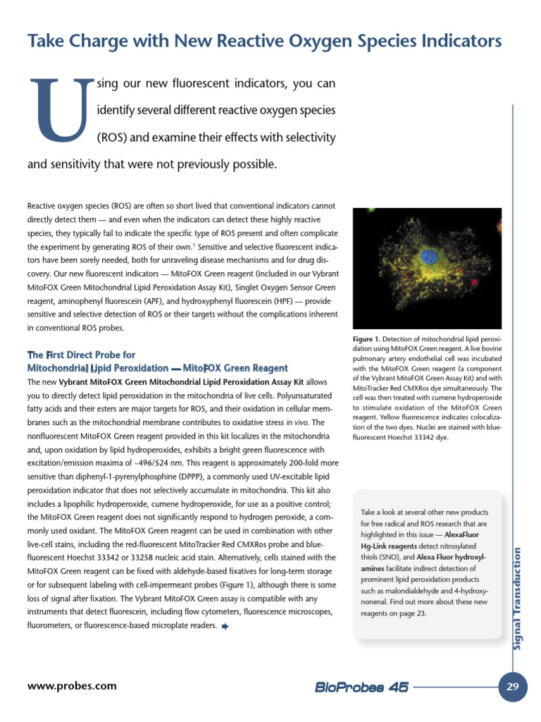 Singlet Oxygen Indicator | PDF | Reactive Oxygen Species | Staining