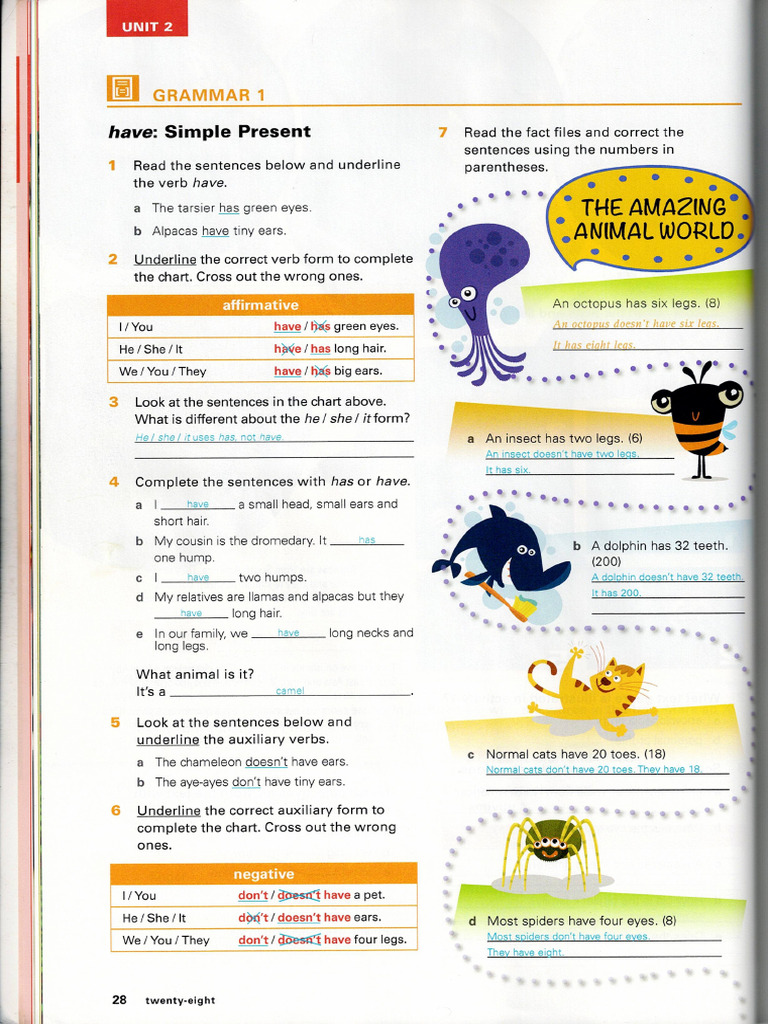 Secu SS Unit 2 | PDF