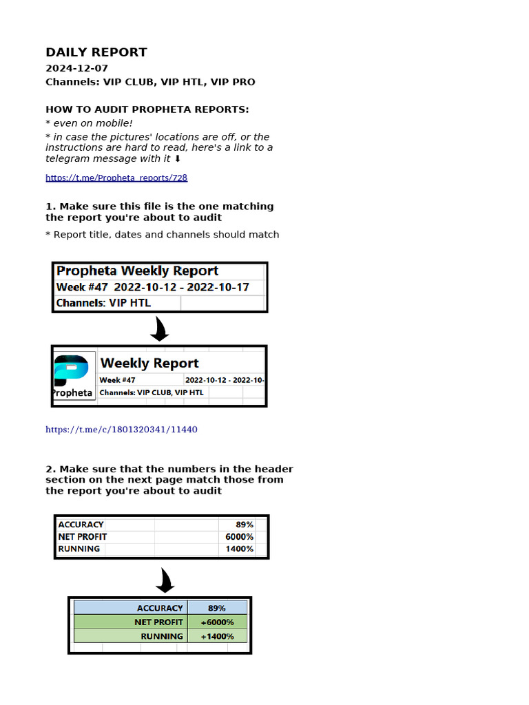 VIP Trading Audit Guide | PDF