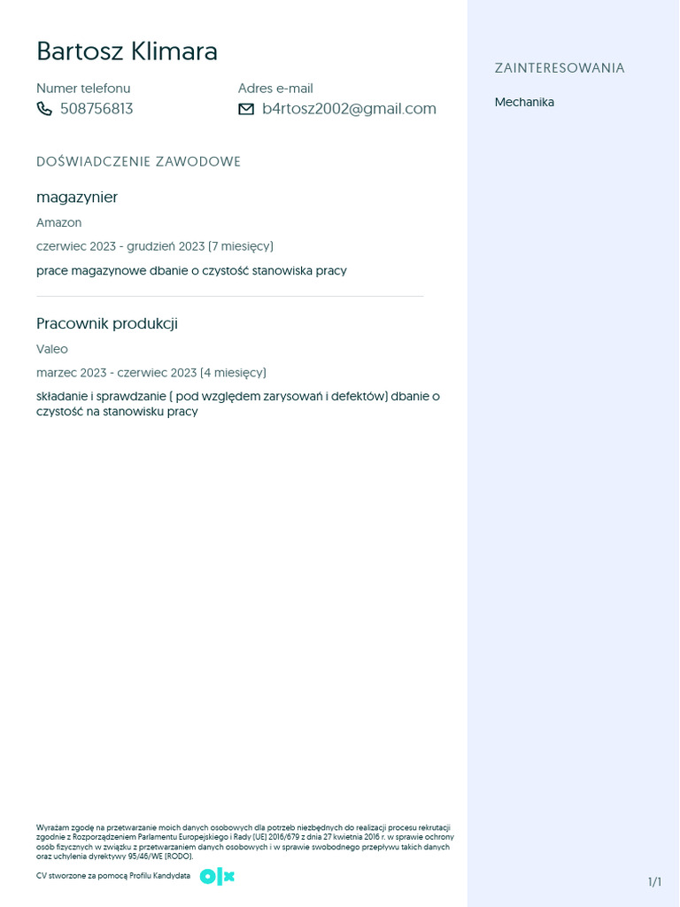 Bartosz Klimara Cv | PDF