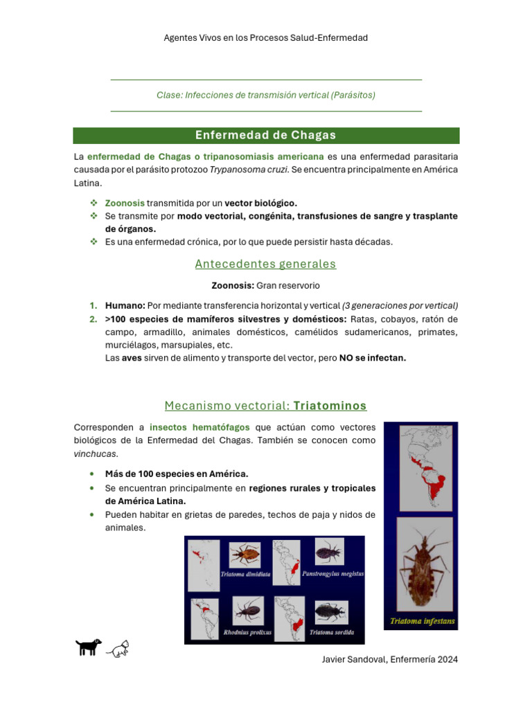 Clase Infecciones de transmisión vertical (Parásitos) | PDF | Medicina ...
