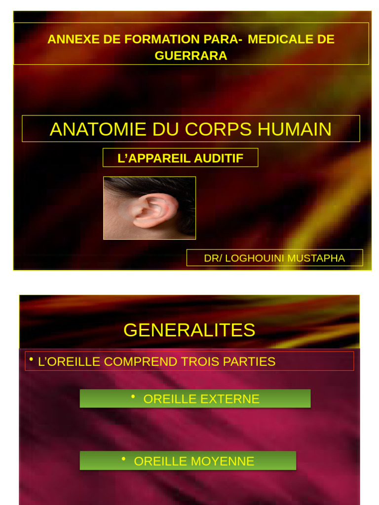 Anatomie du conduit auditif interne | PDF | Oreille | Système vestibulaire