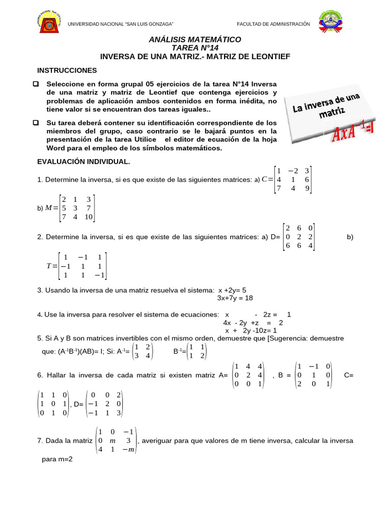 Tarea N14 Analisis Matematico | PDF | Matriz (Matemáticas) | Teoría del operador