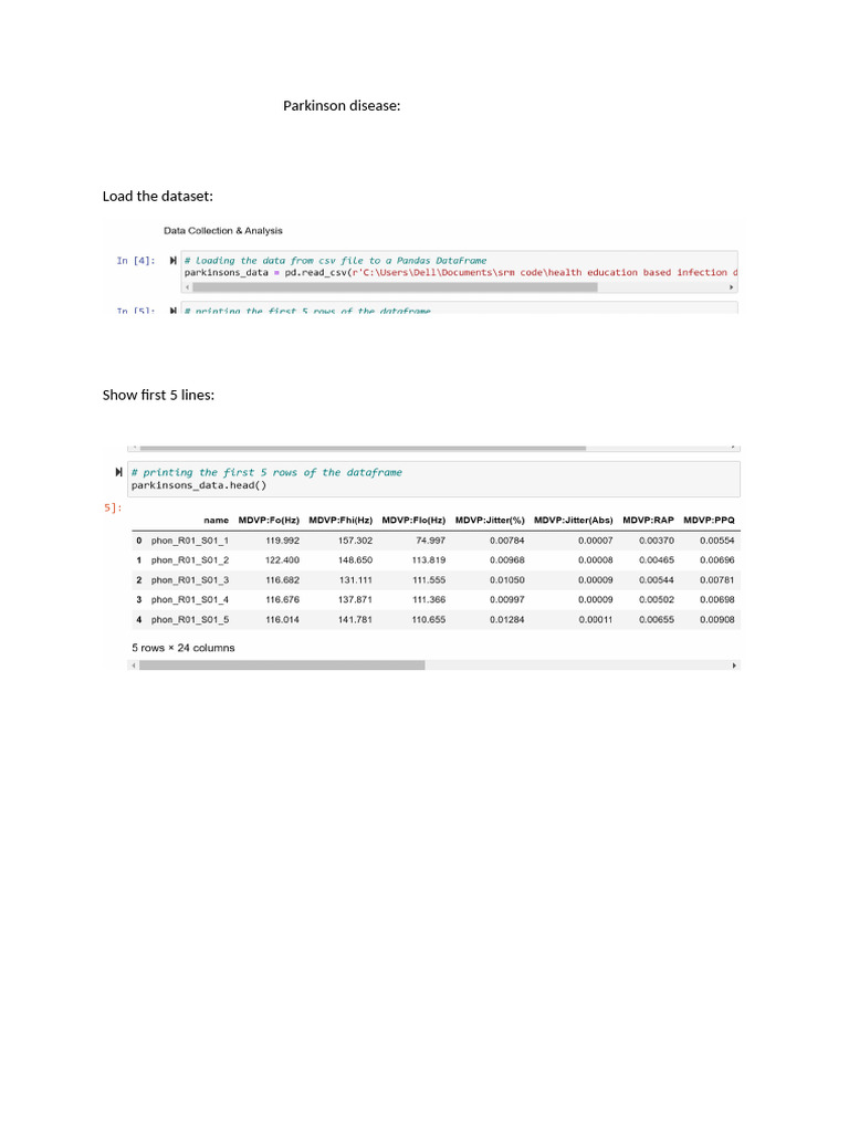 output screenshot | PDF
