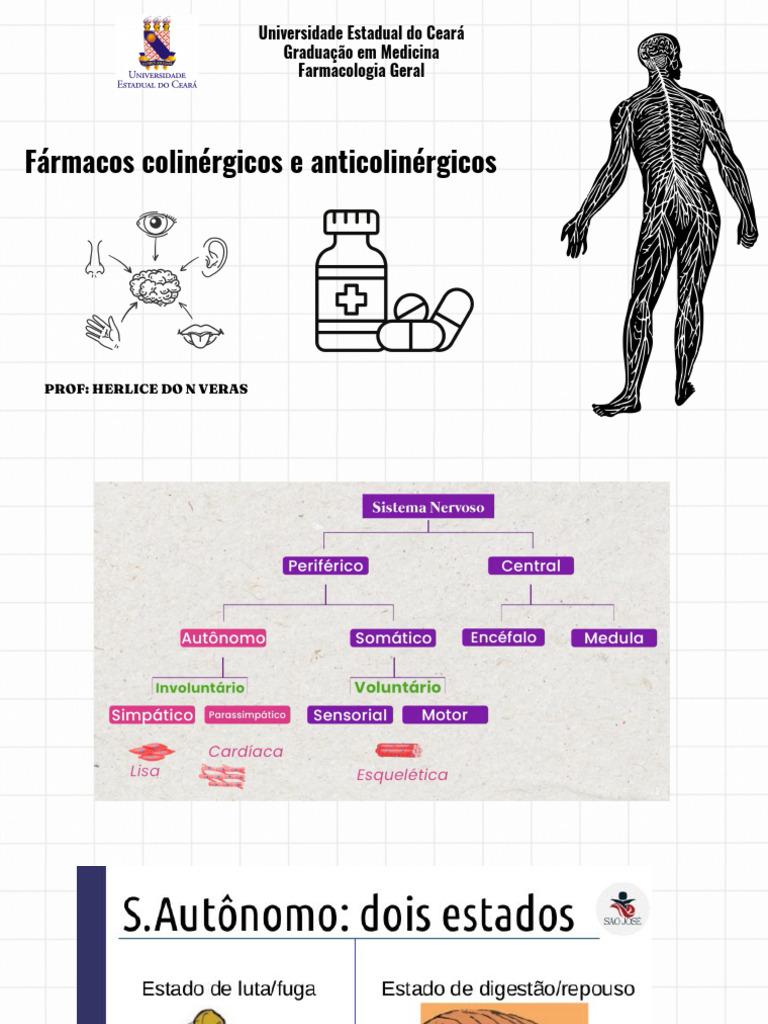 Fármacos colinérgicos e anticolinérgicos | PDF | Fisiologia