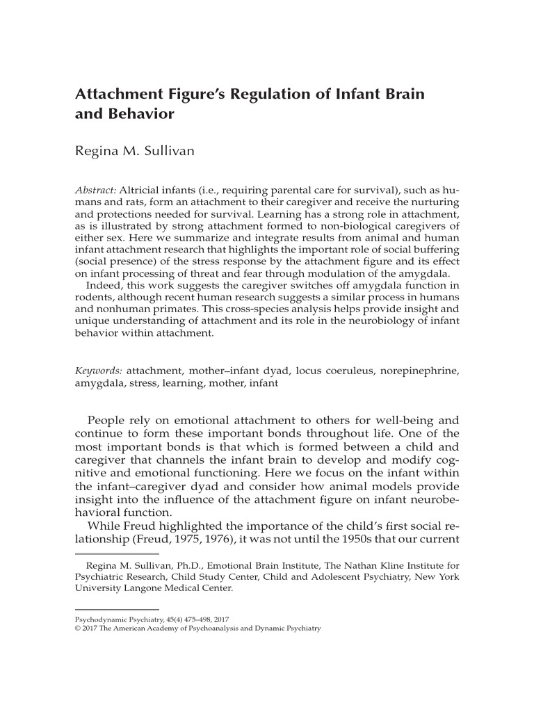 Infant Attachment and Brain Regulation | PDF | Attachment Theory | Fear