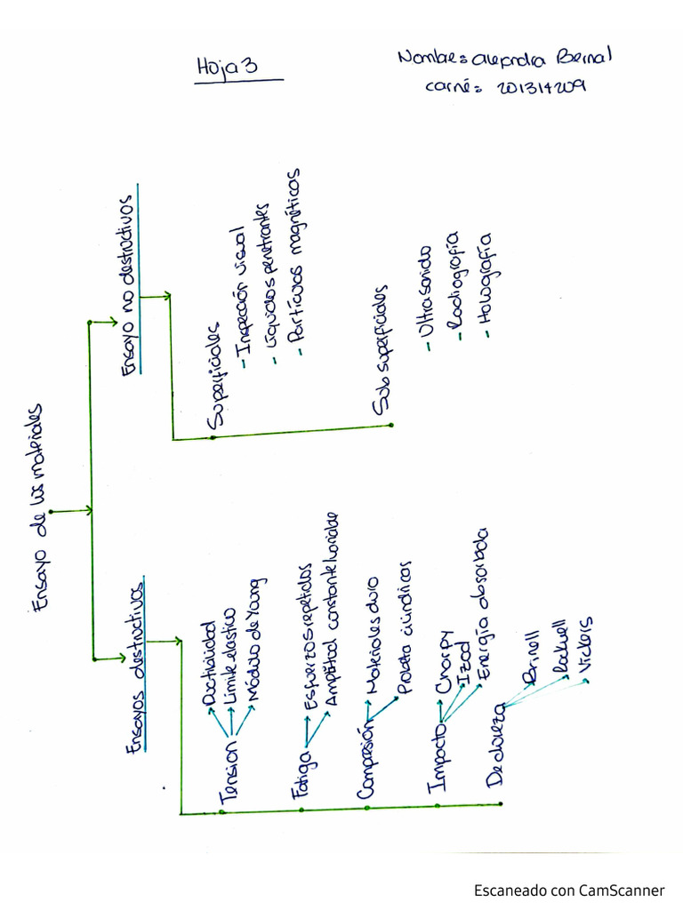 H03_Alejandra Bernal (1) | PDF