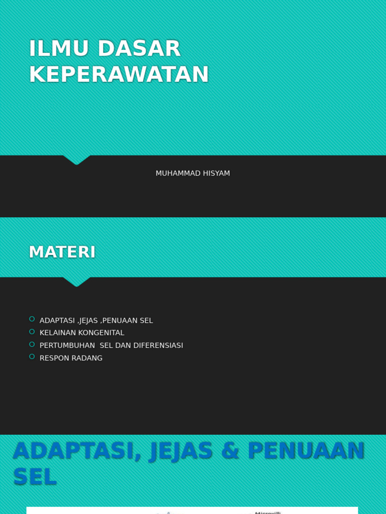 ADAPTASI DAN JEJAS | PDF