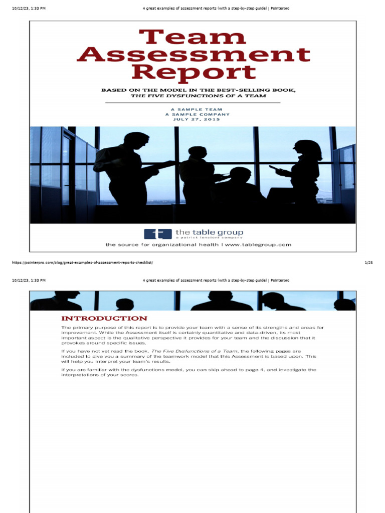 4 Great Examples of Assessment Reports (With A Step-By-Step Guide) - Pointerpro | PDF