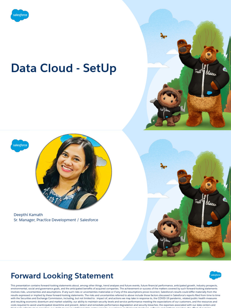 Day 3 - Data Cloud SetUp | PDF | Cloud Computing | Mergers And Acquisitions
