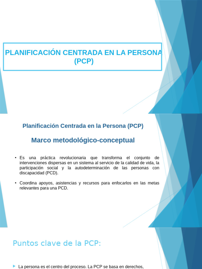 PCP Modelo Fundacion Itineris | PDF | Planificación | Invalidez