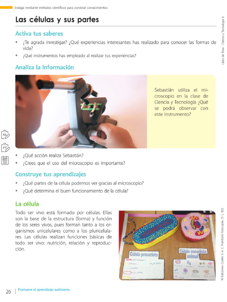 5 de Abril CyT. Lectura de Las Celulas | PDF