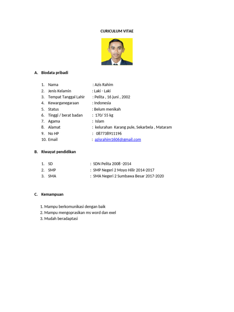CV Azis Rahim | PDF