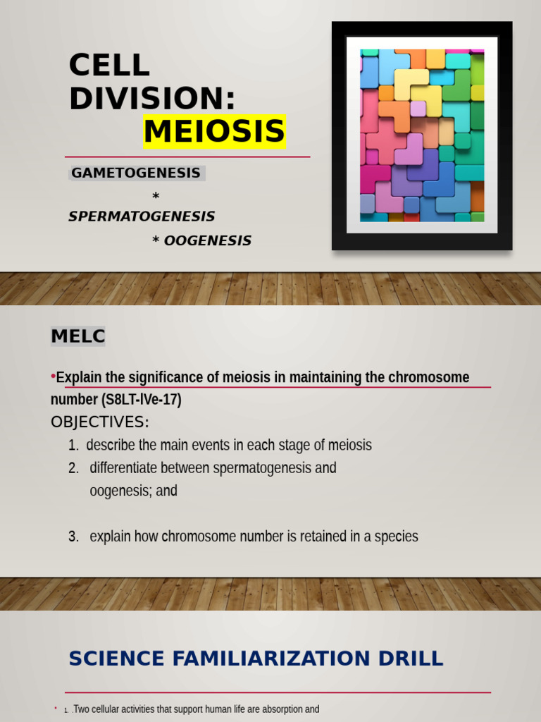 Cell Division Meiosis | PDF | Meiosis | Ploidy