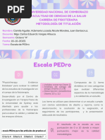 Escala PEDro: Guía y Traducción en Español | PDF | Estadísticas ...
