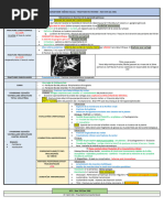 Fracture du rocher : enjeux cliniques | PDF | vertige | Traumatisme crânien