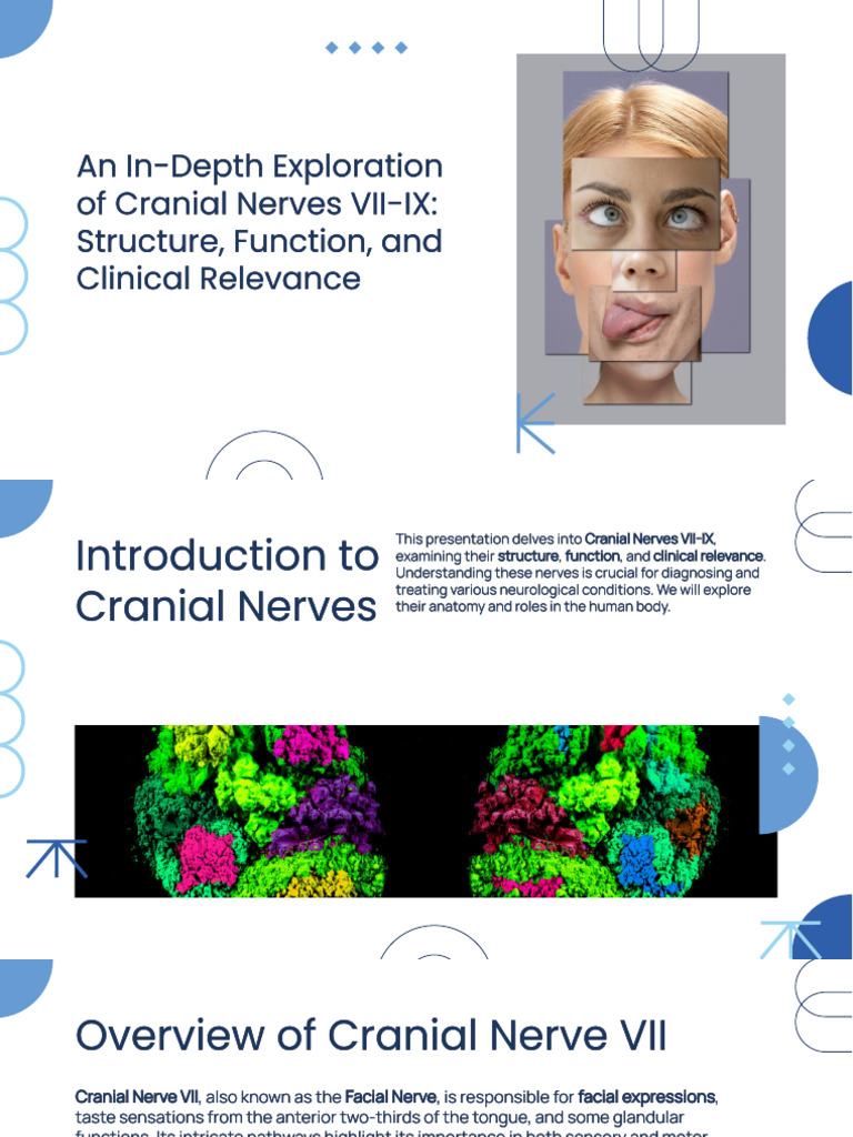 N Depth Exploration of Cranial Nerves VII Ix Structure Function and ...