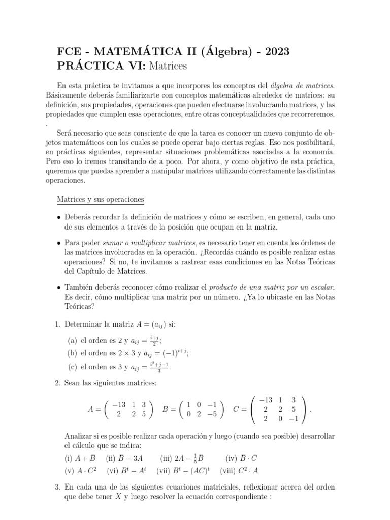 Práctica de Álgebra de Matrices | PDF | Matriz (Matemáticas) | Multiplicación