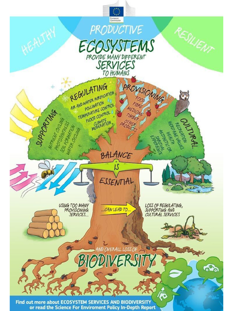 EcoClimate Changes and Environment Waste Management System EWMS5 | PDF