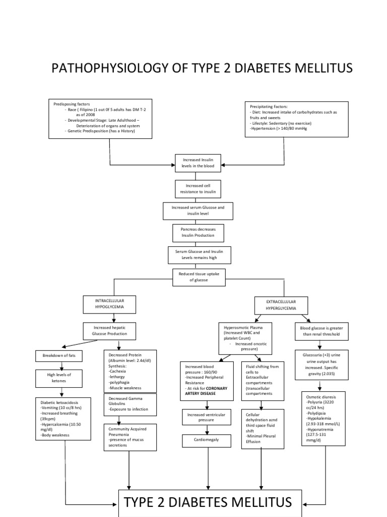 Type 2 Diabetes Pathophysiology Overview | PDF | Diabetes Mellitus Type ...