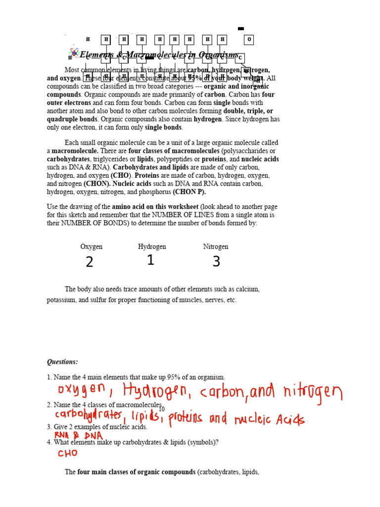Biology 1 - Carbon Based Molecules | PDF | Carbohydrates | Lipid