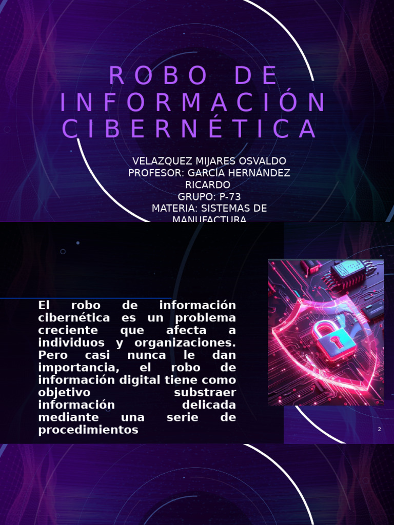 Robo de Información Cibernética | PDF