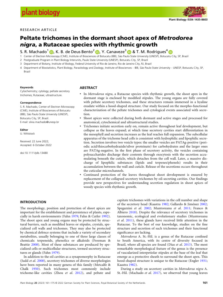 Plant Biology - 2022 - Machado - Peltate Trichomes in The Dormant Shoot ...