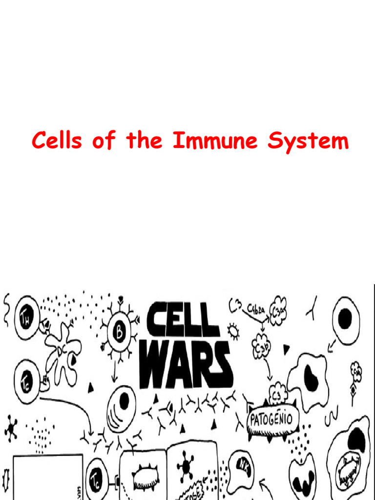 Overview of Immune System Cells | PDF | Natural Killer Cell | Immune System