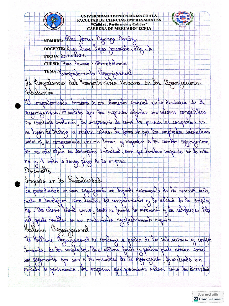 SIGUENZA ALEX -ENSAYO - TAREA#1 | PDF