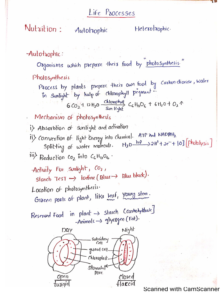 Biology Notes | PDF