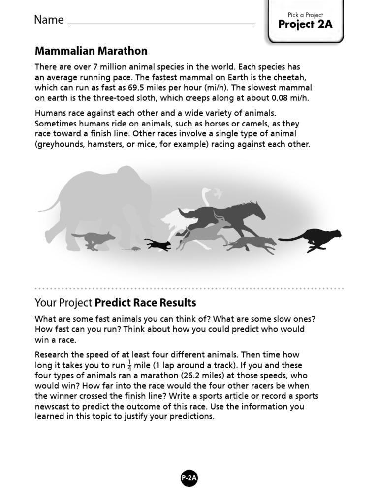 Animal Speed Race Predictions | PDF | String Instruments | Pitch (Music)