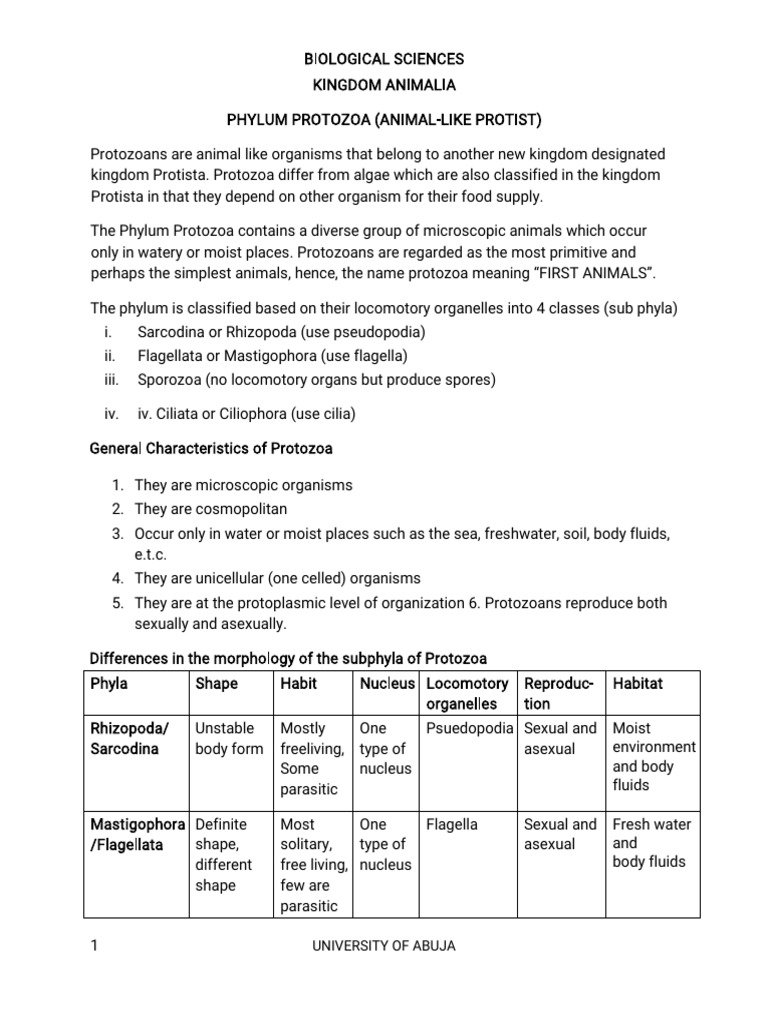 BIO 102 SECTION Wafs Edition | PDF | Sponge | Nematode