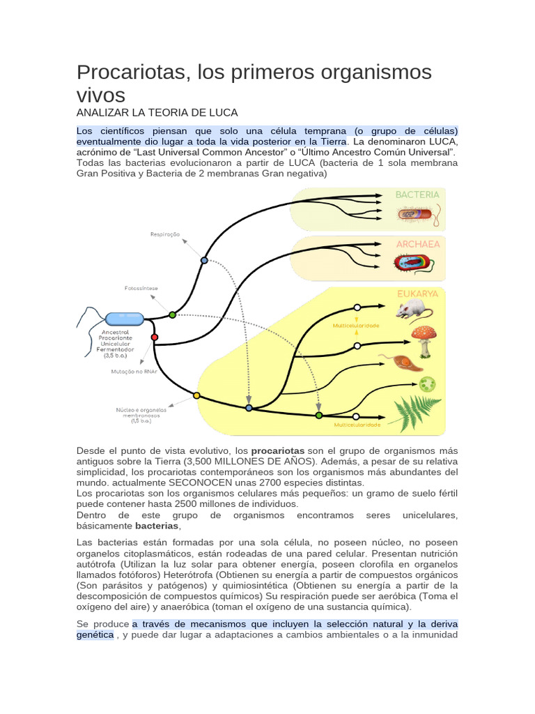 Evolucion de Procarioticos | PDF | Eucariotas | Homo