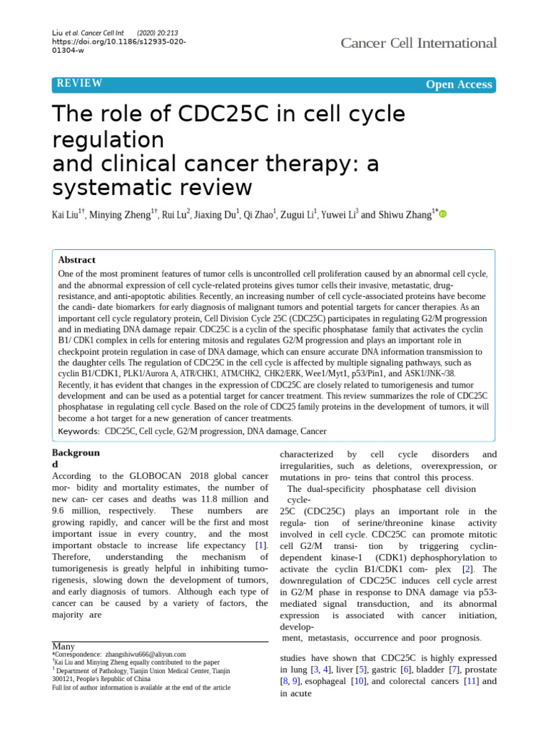The role of CDC25C in cell cycle regulation and clinical cancer terapy ...