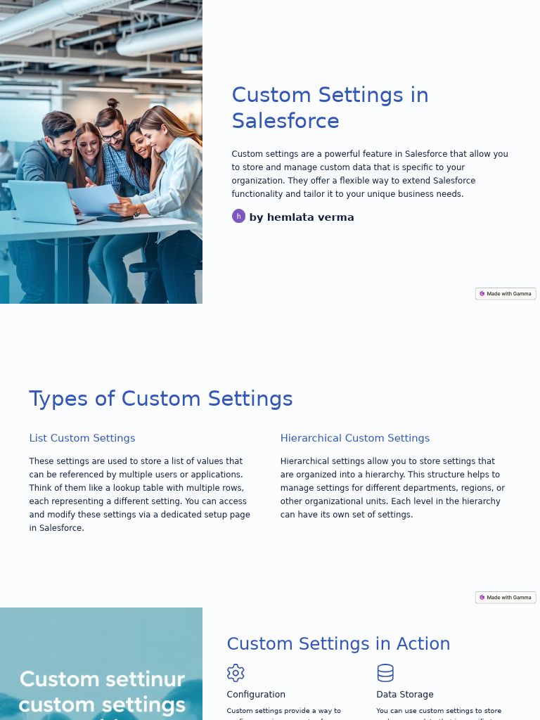 Salesforce Custom Settings Guide | PDF