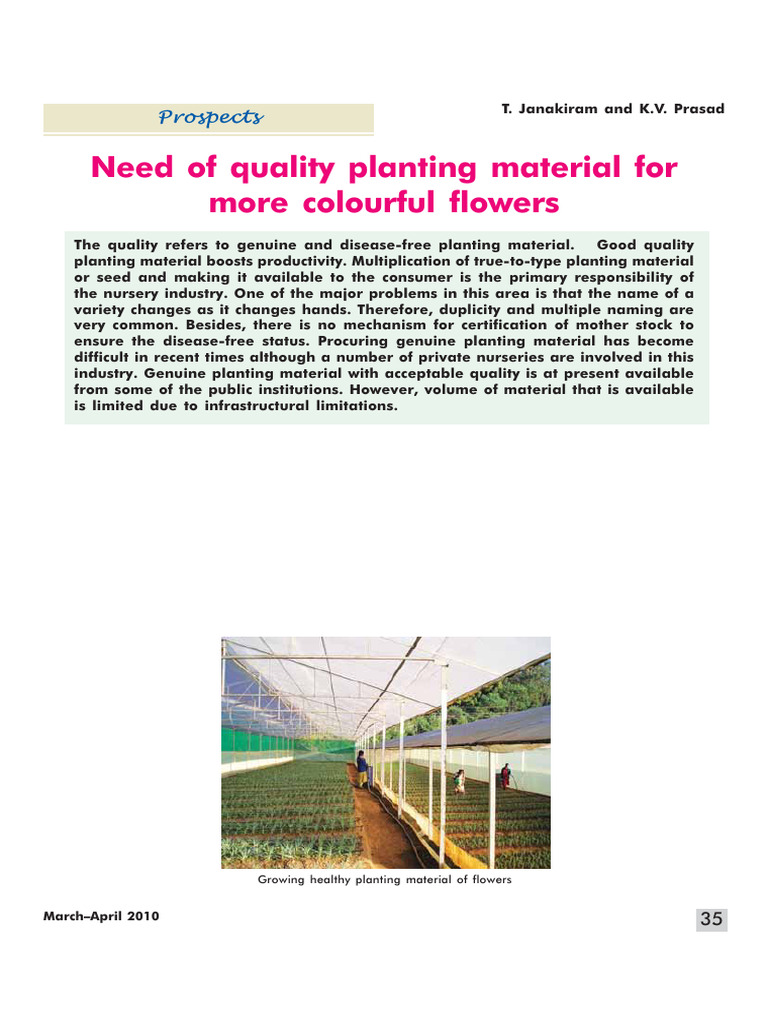 Need of Quality Planting Material For More Colourful Flowers | PDF ...