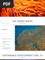Poster SDG 14 - Life Below Water | PDF