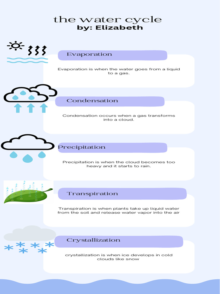the water cycle | PDF