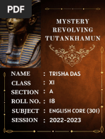 CT Scan Insights on King Tut's Mummy | PDF | Tutankhamun | Mummy